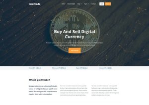 Bitcoin Cryptocurrency Website Template - Ease Template